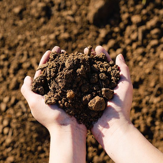 Screened Fill Dirt - per yard – Piedmont Landscape Materials